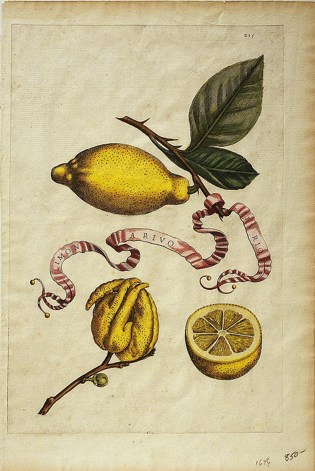 About – ANTONIO RAIMO GALLERY